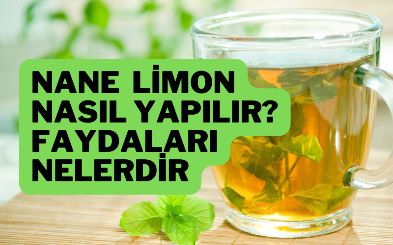 Nane Limon Tarifi: Nasıl Yapılır? Neye İyi Gelir? » Pemmbe